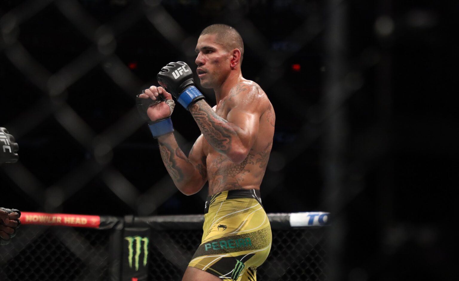 UFC 303, ALEX PEREIRA vs Jiri Prochazka STANOTTE IN TV: programma ...