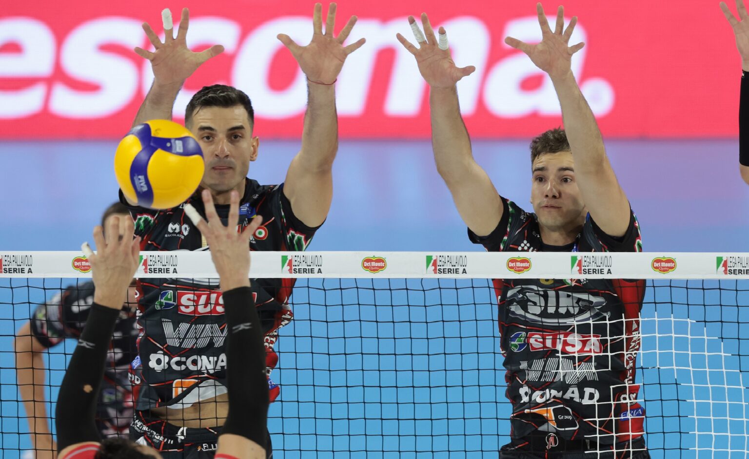 LIVE – Trento-Perugia: Superlega 2024/2025 volley in DIRETTA